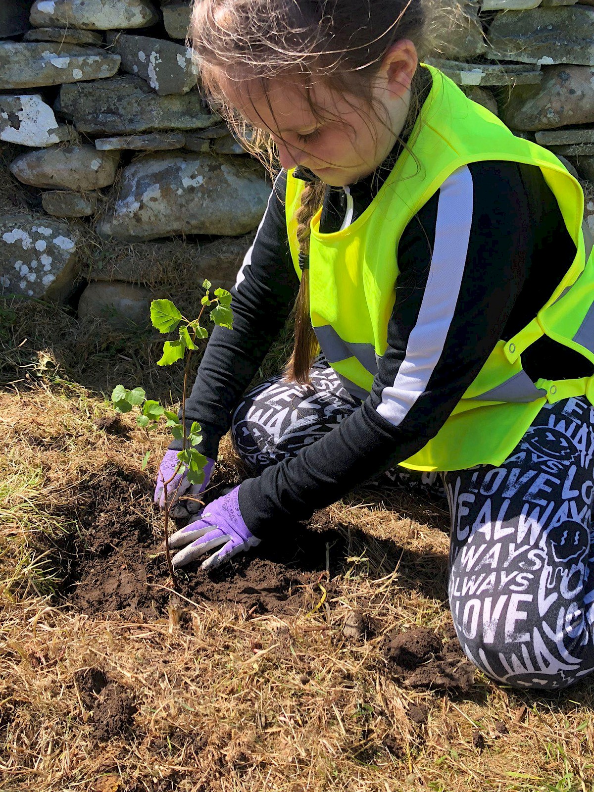 Bringing biodiversity and history into the (outdoors) classroom ...