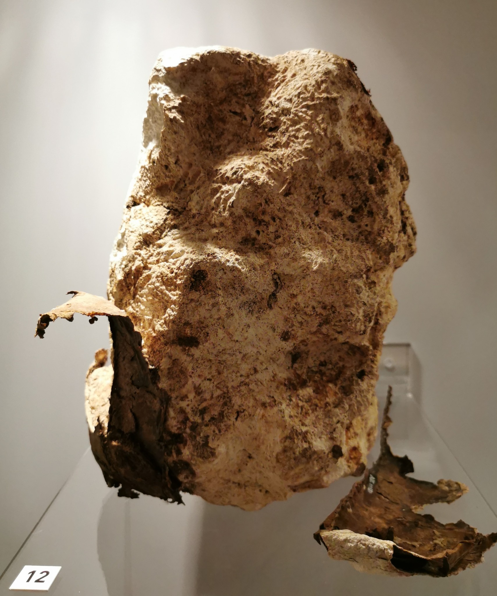 Our bog butter is going 'home' for the season! | Shetland Museum & Archives