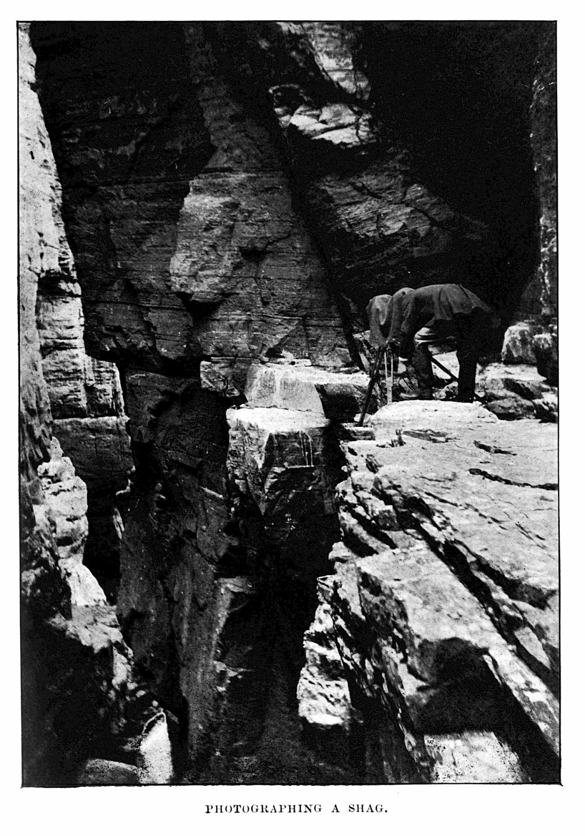 Alanbrooke and the Kearton Brothers | Shetland Museum & Archives