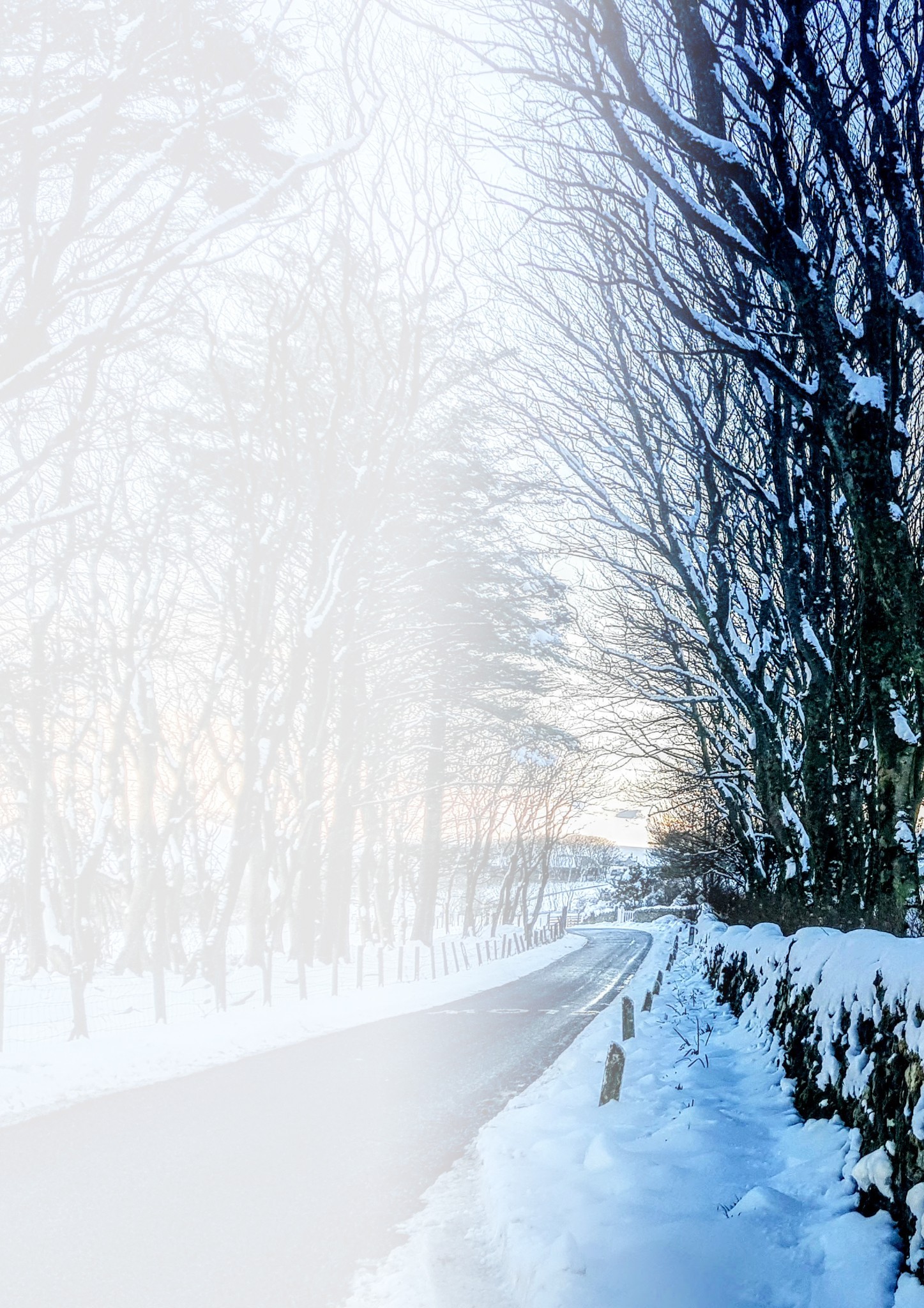 Shetland Museum unveils ‘Seen Furt’ in new photographic exhibition ...